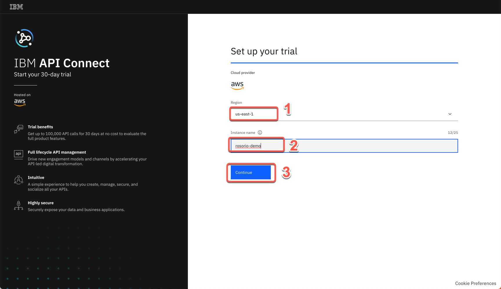 Accessing IBM API Connect and IBM App Connect on AWS
