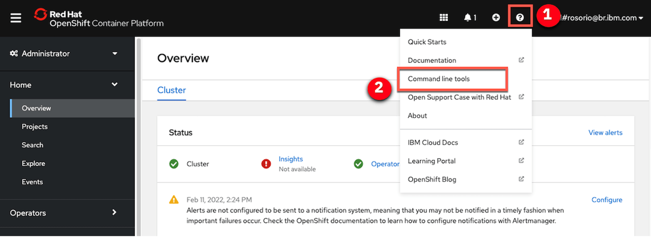 CP4I for Technical Sales - API Demo